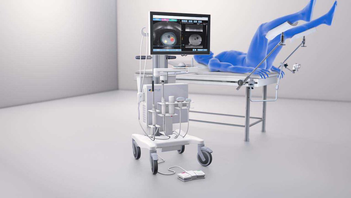 50% de croissance pour Koelis qui lui valent d'être lauréate du Pass ...